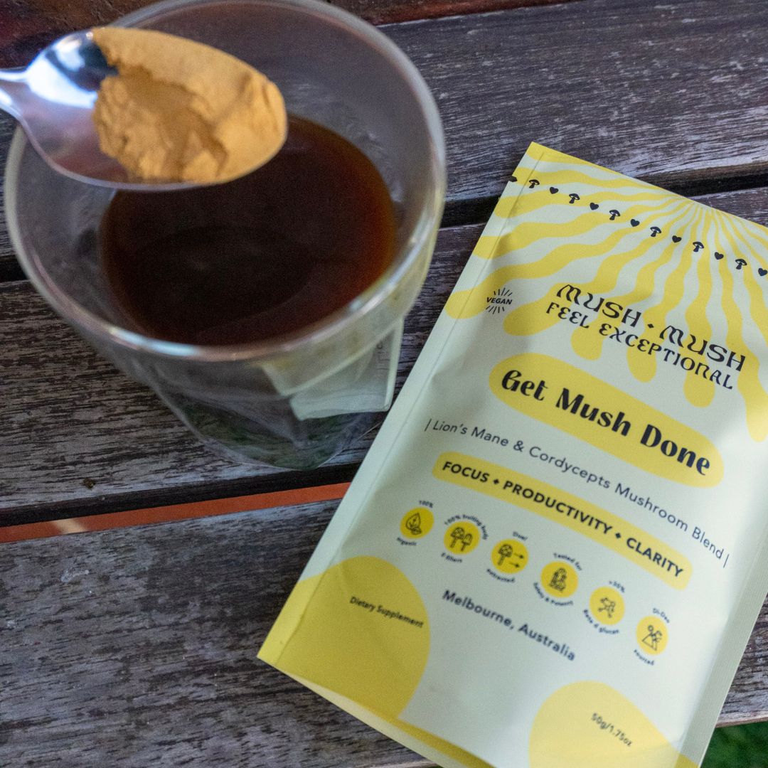 Boost Your Concentration and Focus with Functional Mushrooms – MushMush