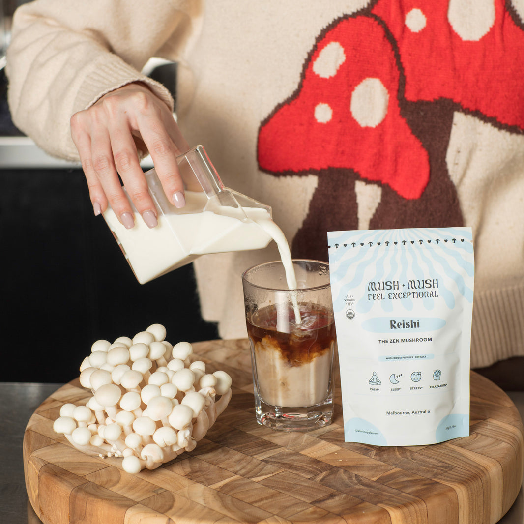 Premium Pure Mushrooms for Enhanced Lifestyle | Mush Mush – MushMush