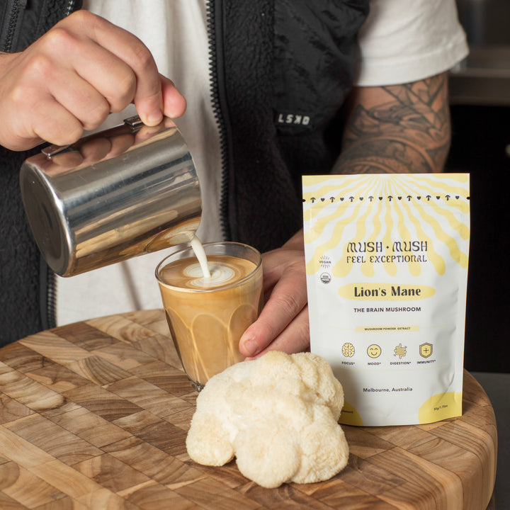 Mush Mush – MushMush